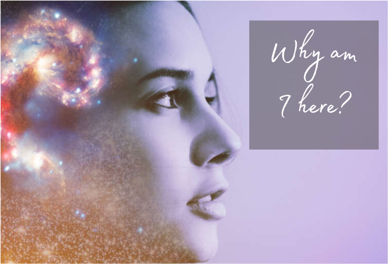 Why am I here? - Maire Morkan Coach